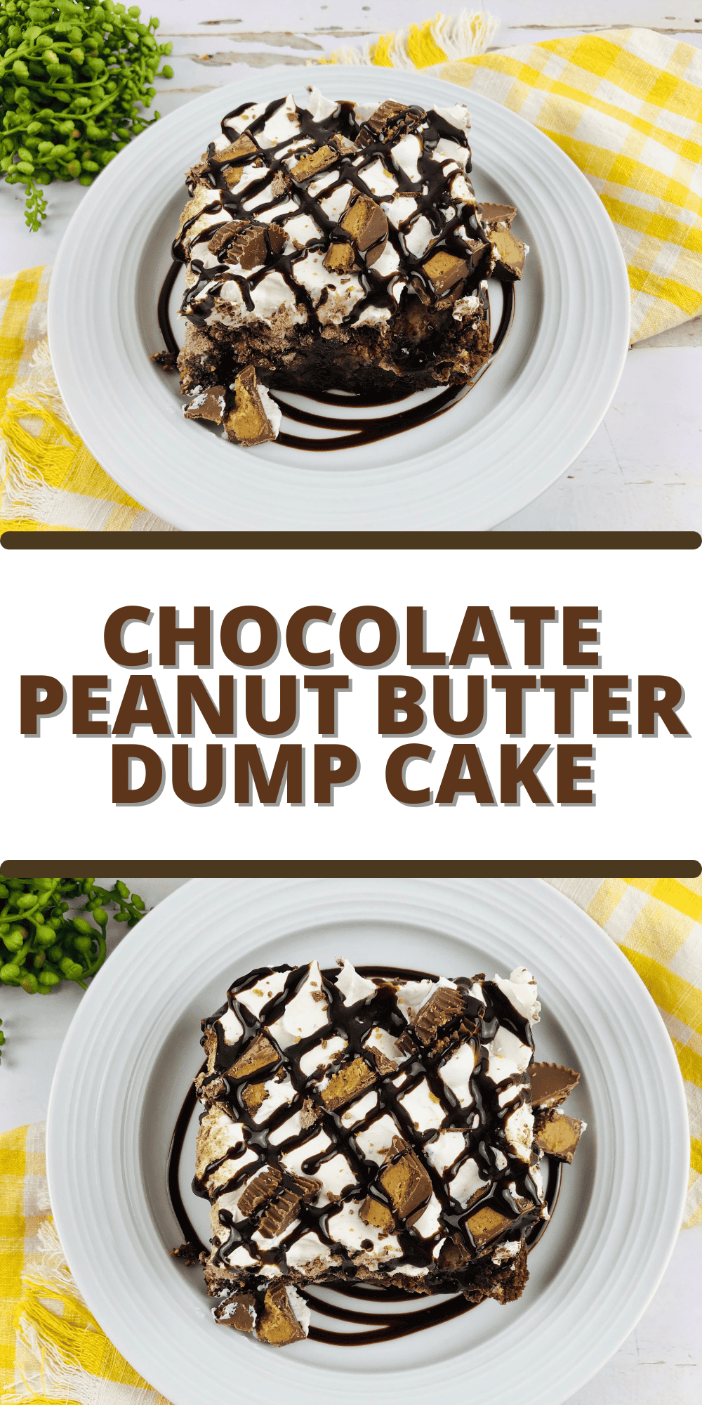 Chocolate Peanut Butter Dump Cake | Cake Mix Recipes